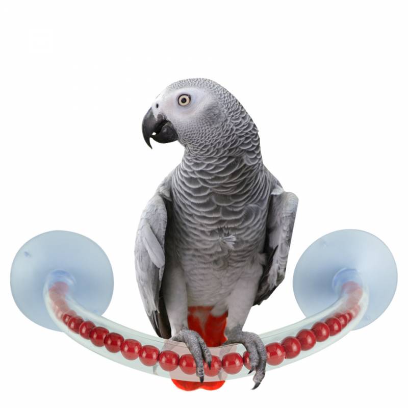 Happy Shower percha para ducha - loropets